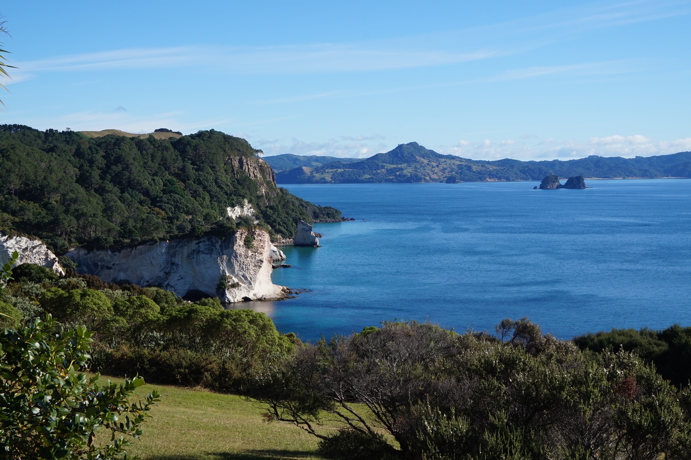 Cathedrale Cove et les sources chaudes - Flying Fluffy Cat